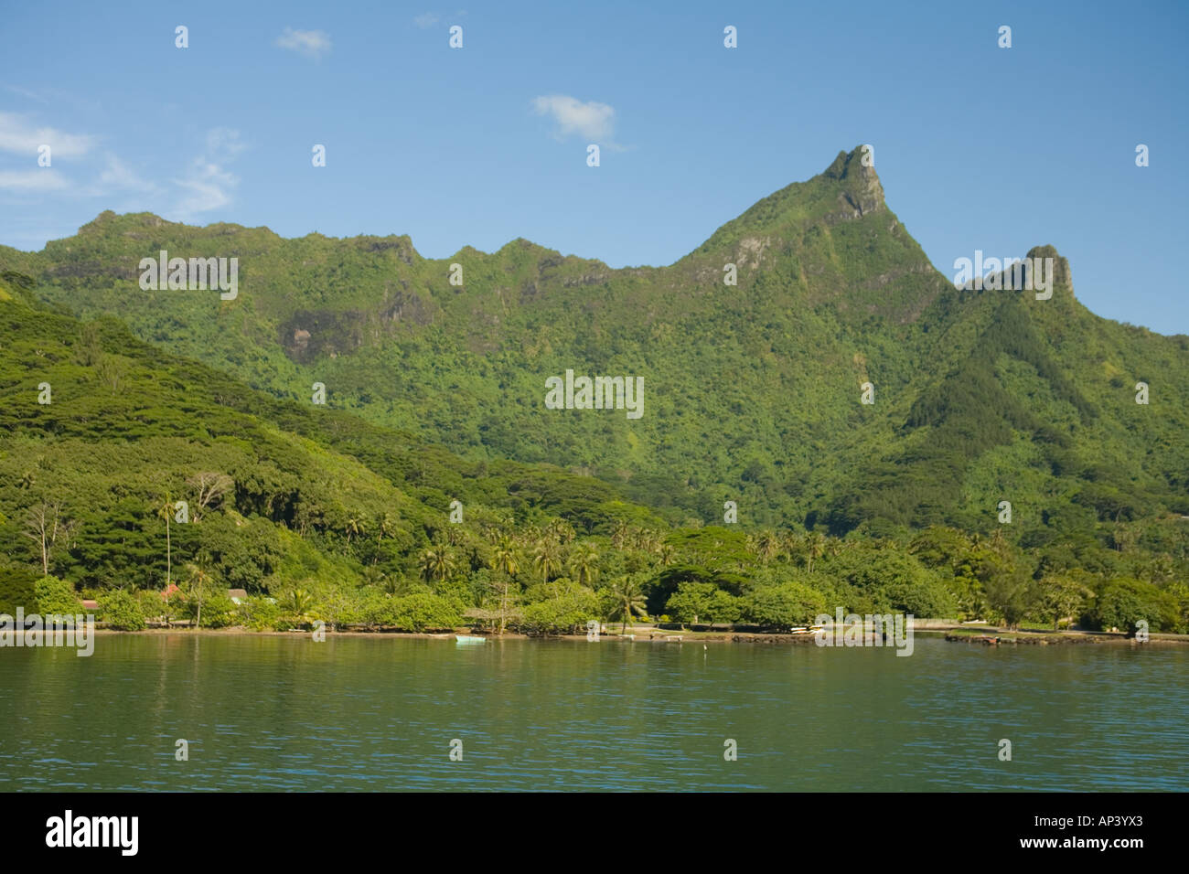 Morea tahiti hi-res stock photography and images - Alamy