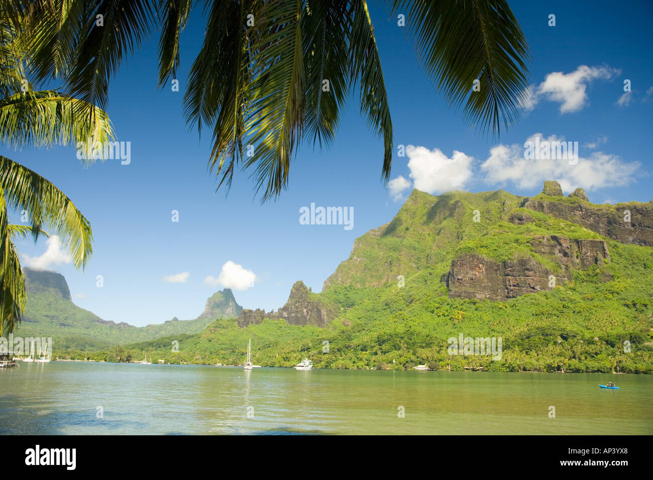 Cook's Bay, Morea Island, French Polynesia, South Pacific Stock Photo ...