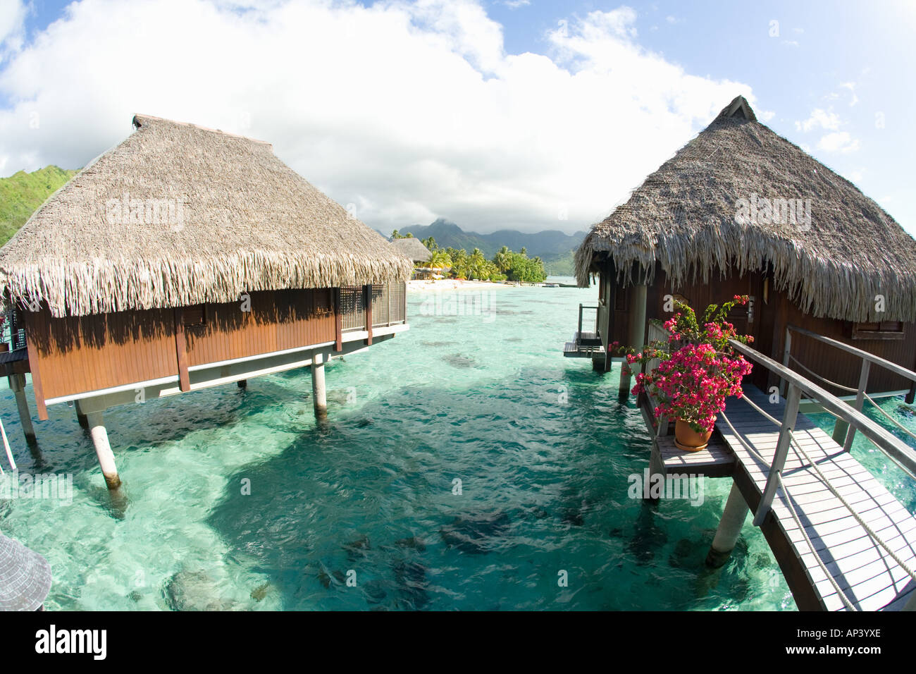 Sheraton Moorea Lagoon Resort & Spa, Morea Island, French Polynesia ...