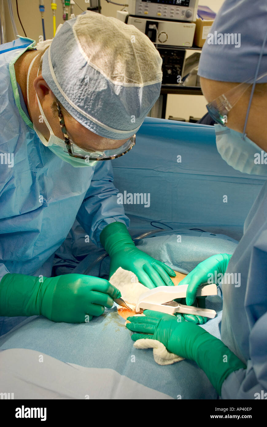 Surgical staples hi-res stock photography and images - Alamy