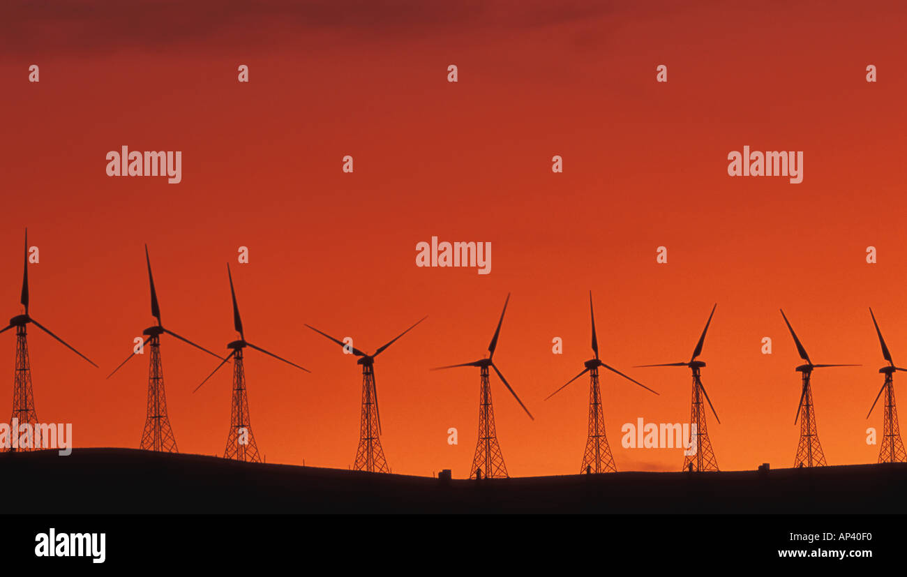 Gan0216 hi-res stock photography and images - Alamy