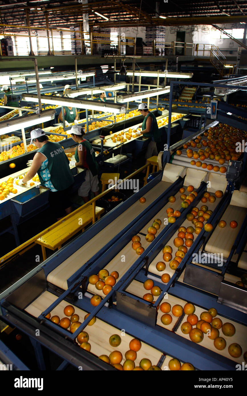 Processing maze hi-res stock photography and images - Alamy