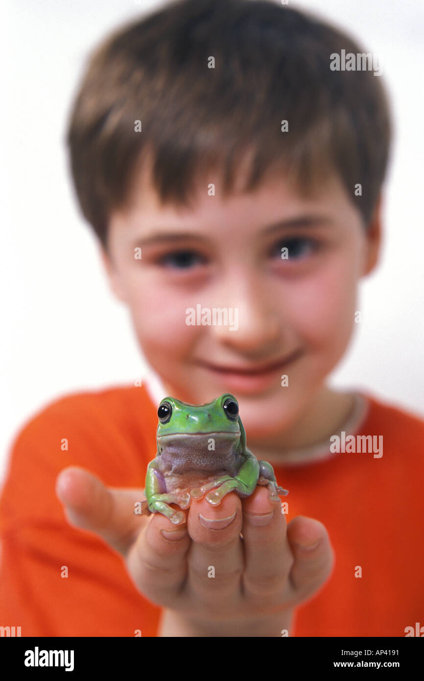 Happy pet frog hi-res stock photography and images - Alamy