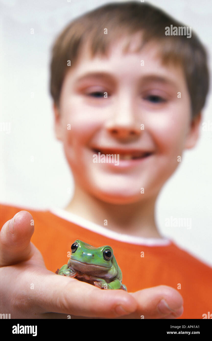 Proud frog hi-res stock photography and images - Alamy