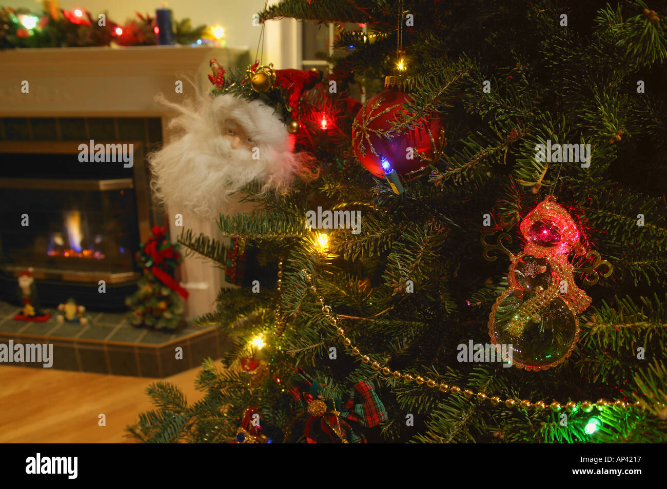 Joy carson hi-res stock photography and images - Alamy