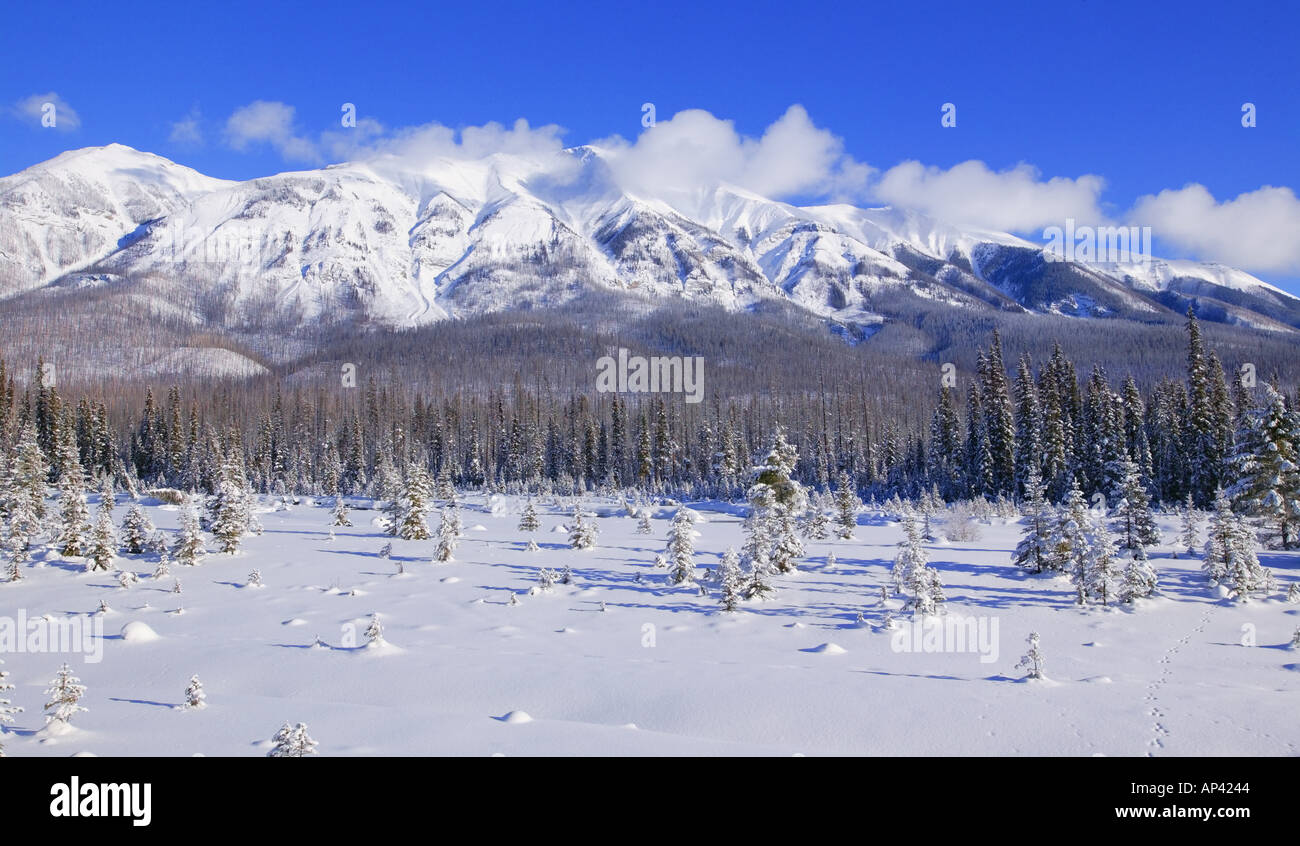 Mountain view winter landscape hi-res stock photography and images - Alamy