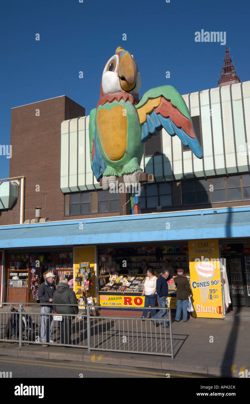 Giant parrot hi-res stock photography and images - Alamy