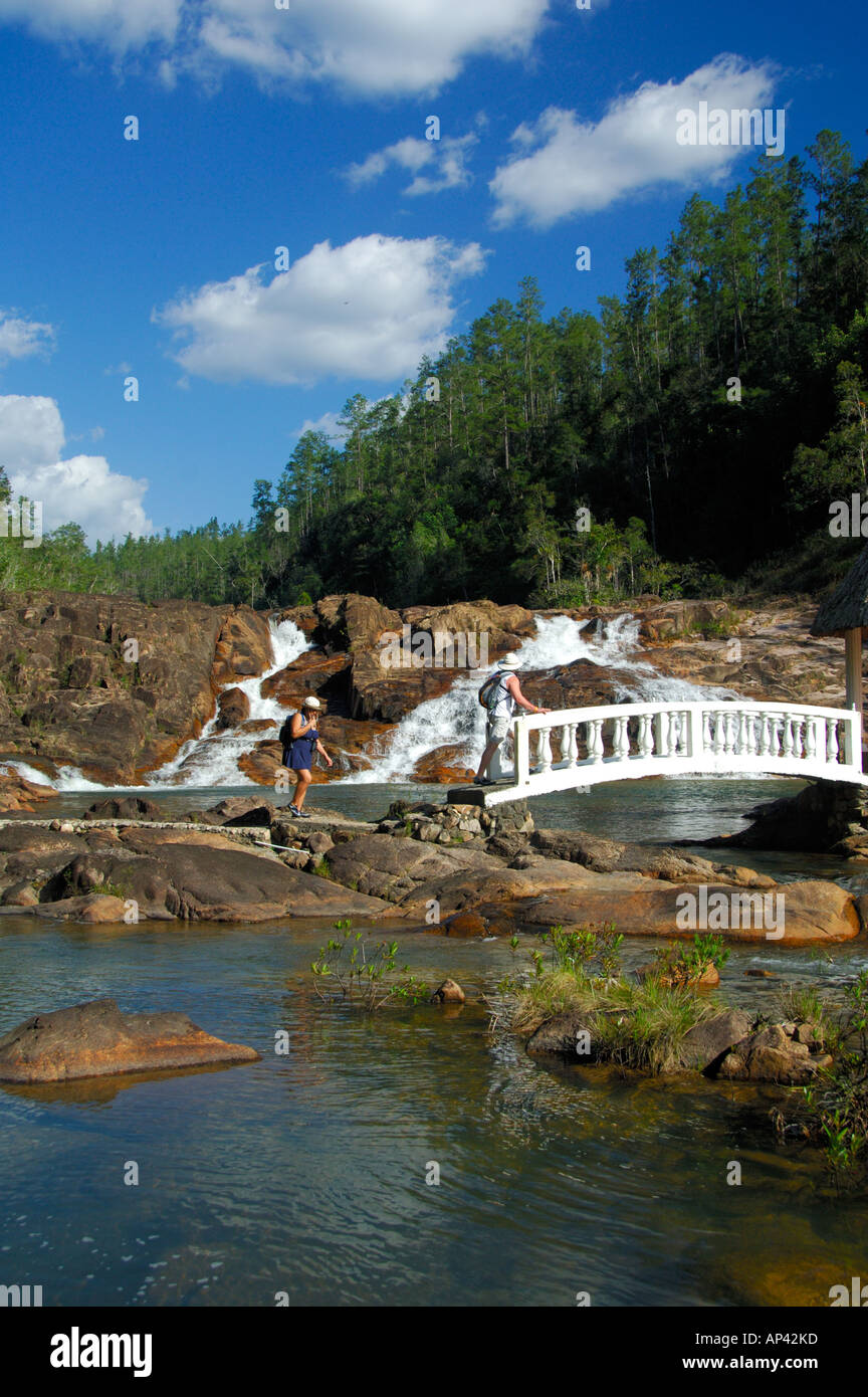 Central America, Belize, Mountain Pine Ridge Forest Reserve, San ...