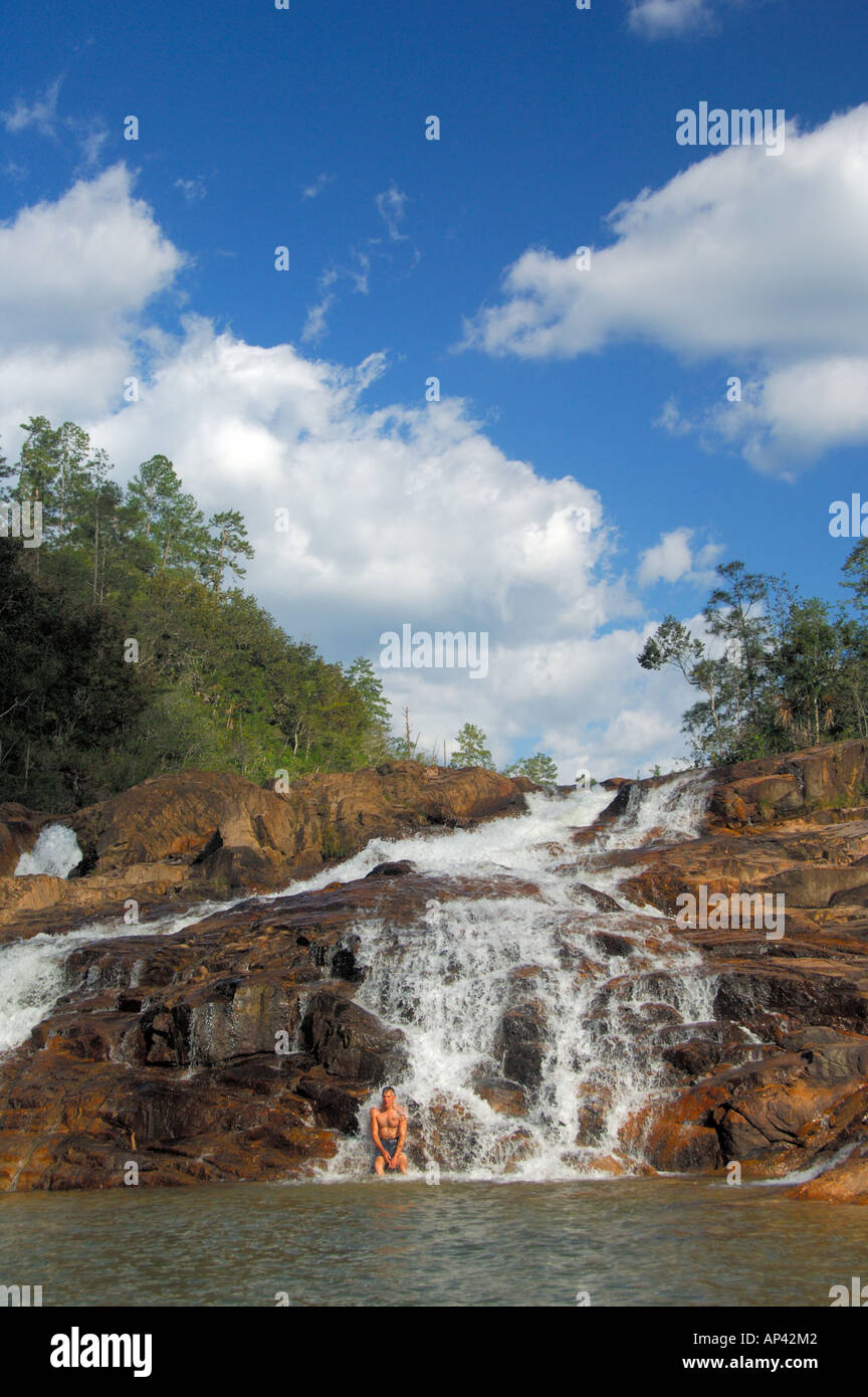 Mountain pine ridge forest reserve belize hi-res stock photography and ...