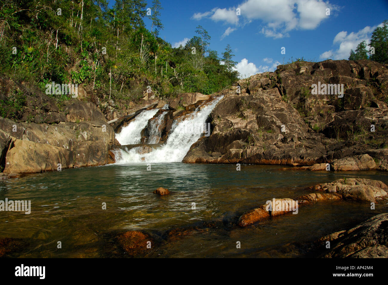 Central America, Belize, Mountain Pine Ridge Forest Reserve, San ...