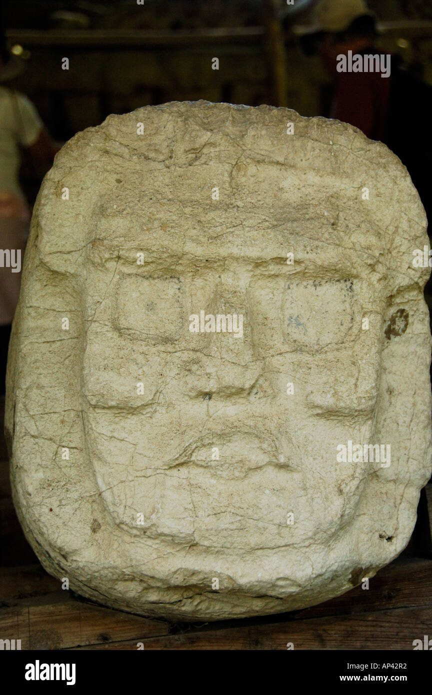 Central America, Belize, Chiquibul Forest Reserve, Caracol. Stone 28 ...