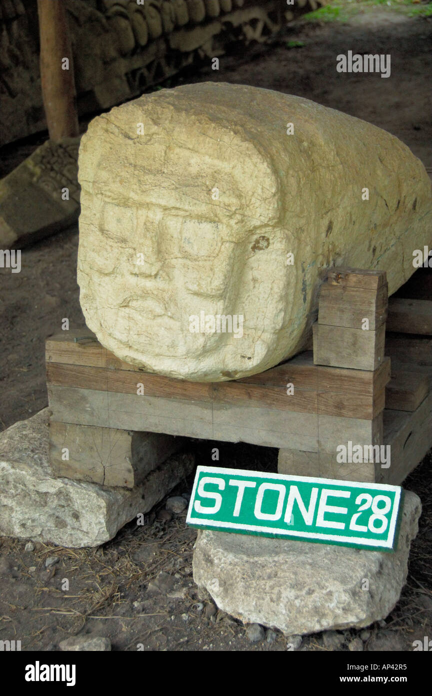 Central America, Belize, Chiquibul Forest Reserve, Caracol. Stone 28 ...