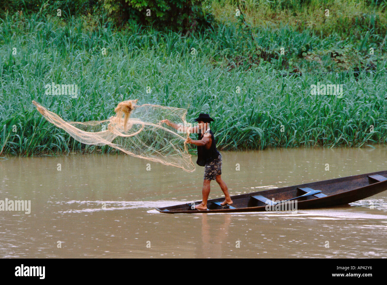 Amazon River Life