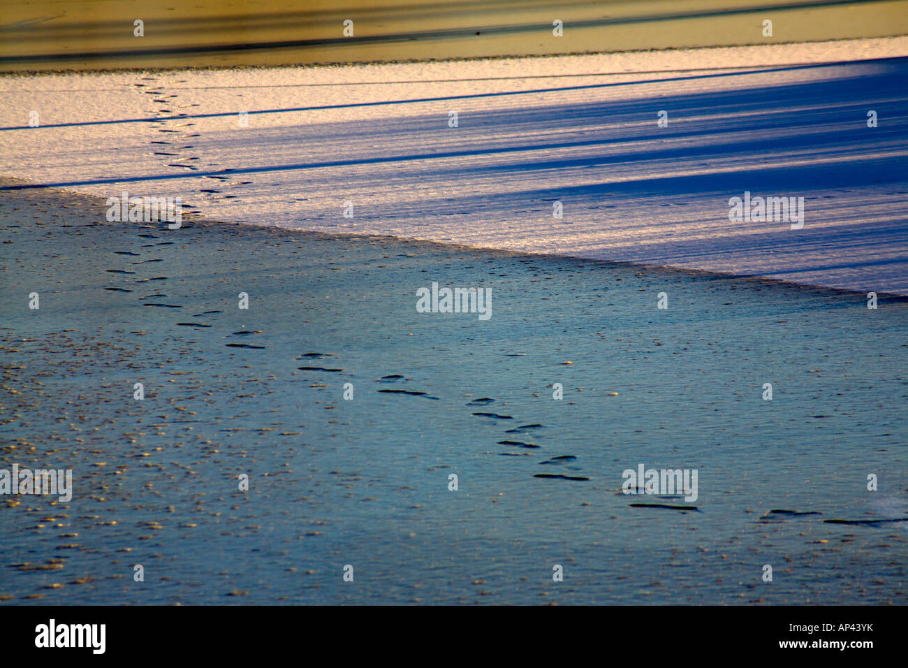 footprints in the snow and ice with some really cool shadow Stock Photo ...