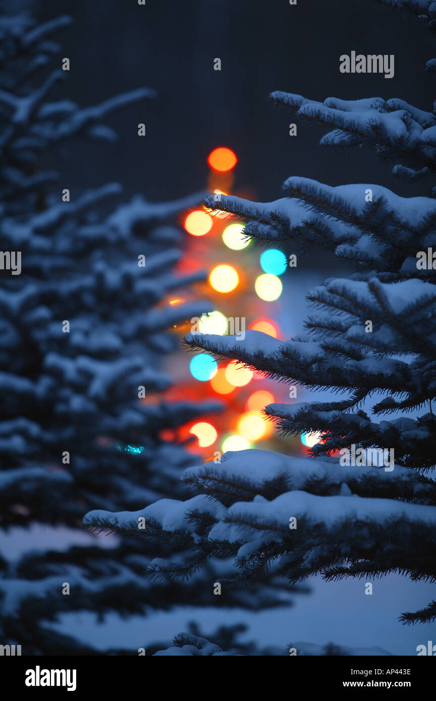 Christmas tree glowing Stock Photo - Alamy