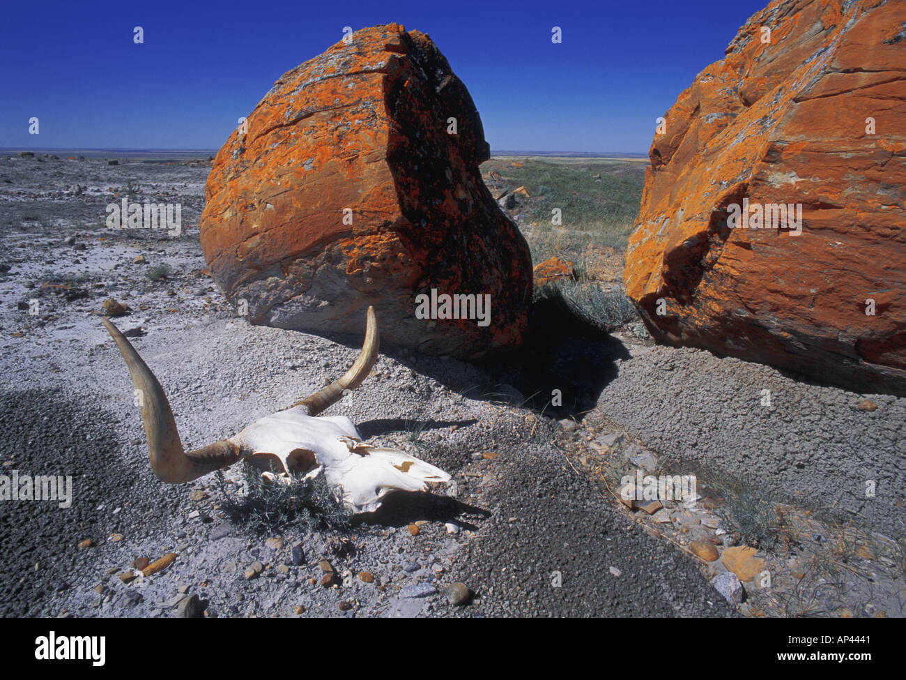 Ap4441 hi-res stock photography and images - Alamy