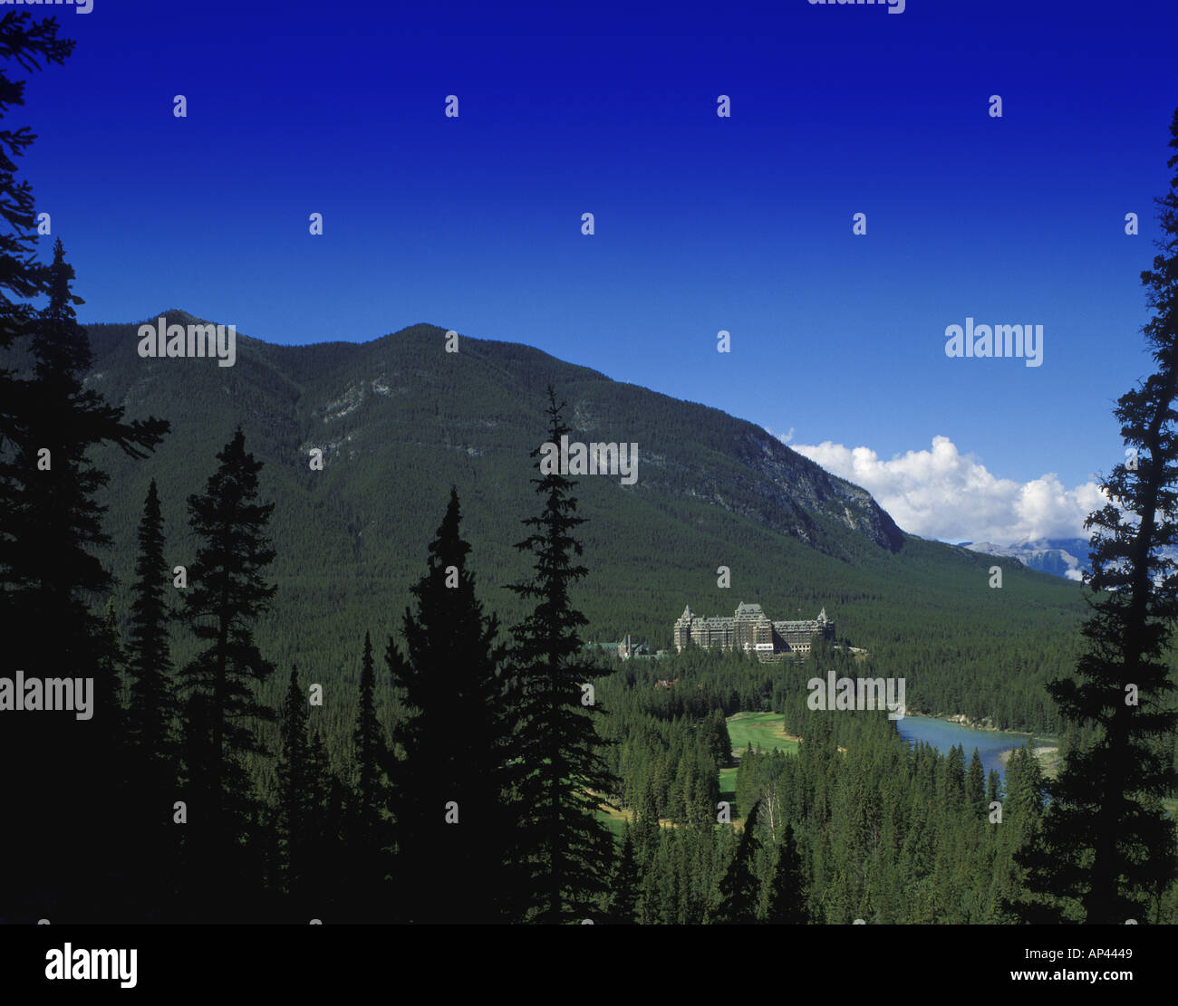 Don hammond hi-res stock photography and images - Alamy