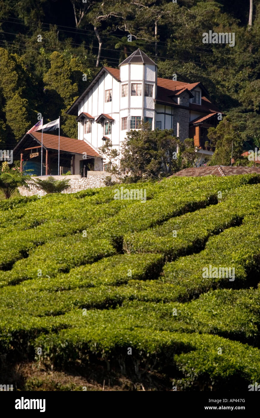 The former residential house of a Malaysian tea estate stands behind ...