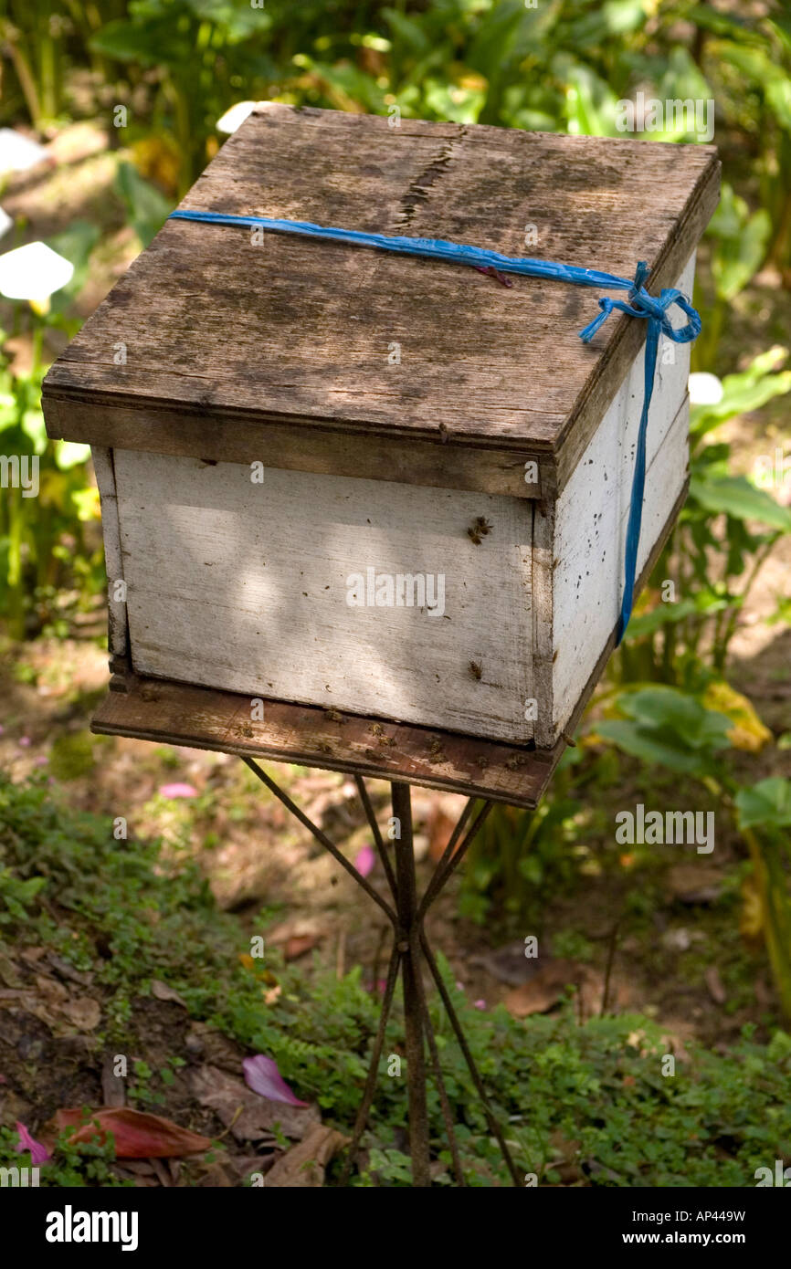 A bee hive in the Cameron Highlands of Malaysia. Honey collecting is a ...