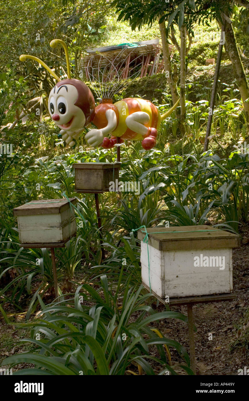 Hives are set up for honey bees to the Cameron Highlands of Malaysia. A ...