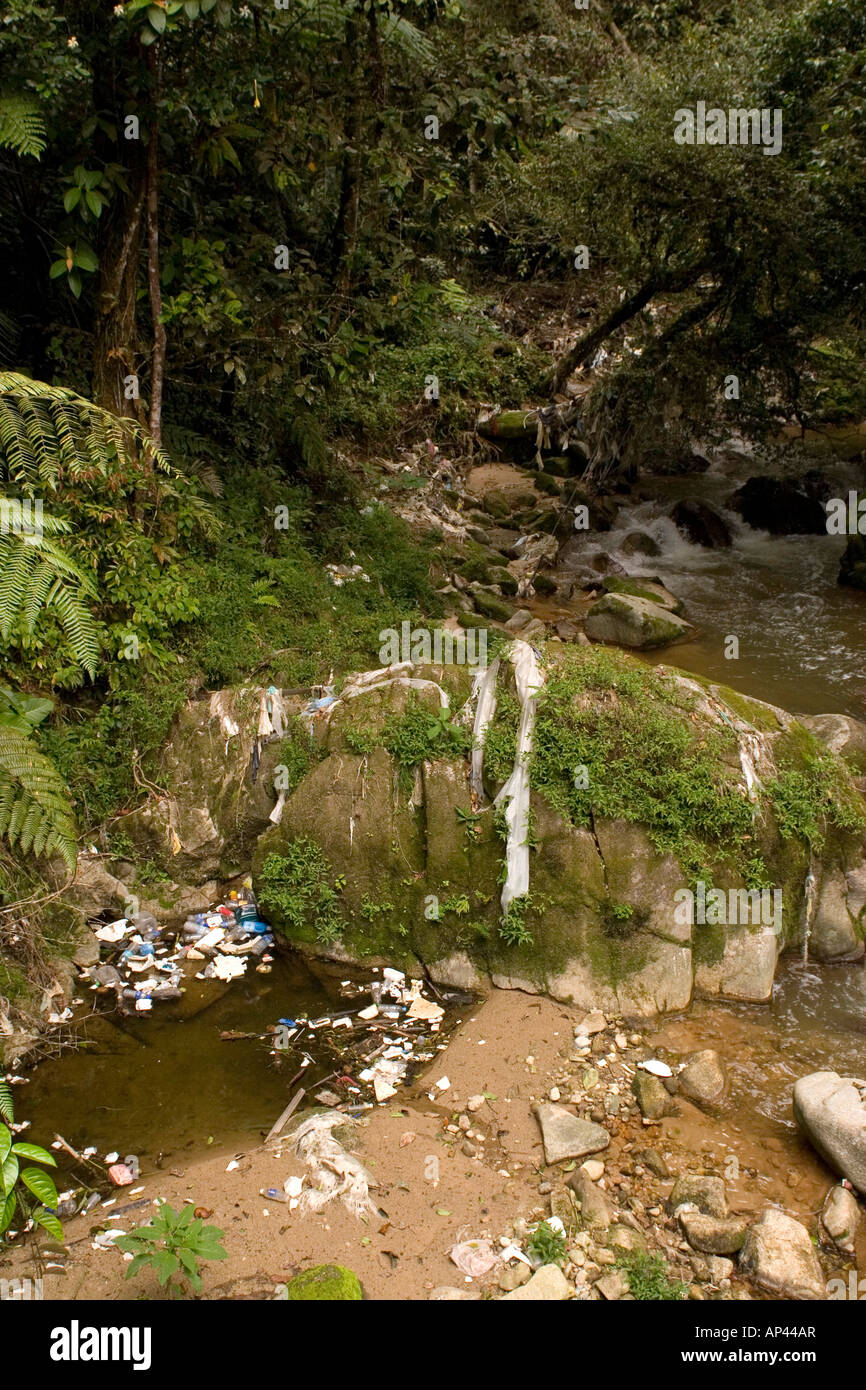 Rubbish strewn greenery hi-res stock photography and images - Alamy