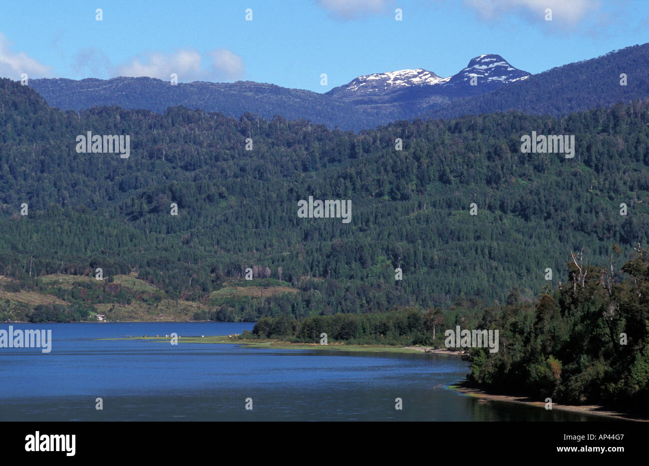 Chile, Patagonia, Canal Puyuhuapi Stock Photo - Alamy