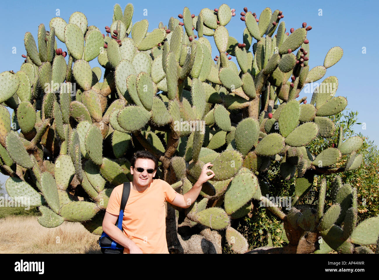 A man and nopal – comical Stock Photo - Alamy