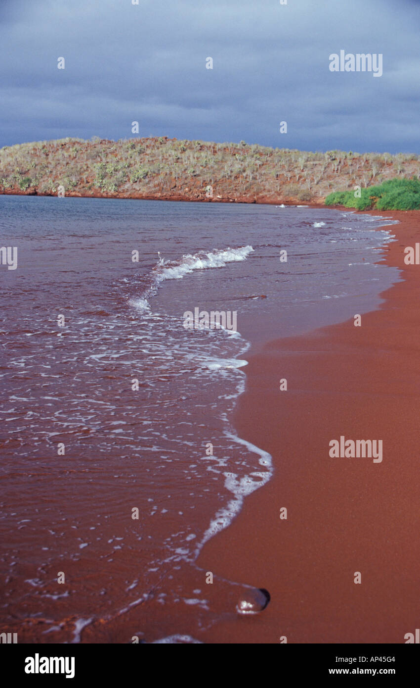 South America, Ecuador, Galapagos Islands, Rabida Island. Red sandy ...