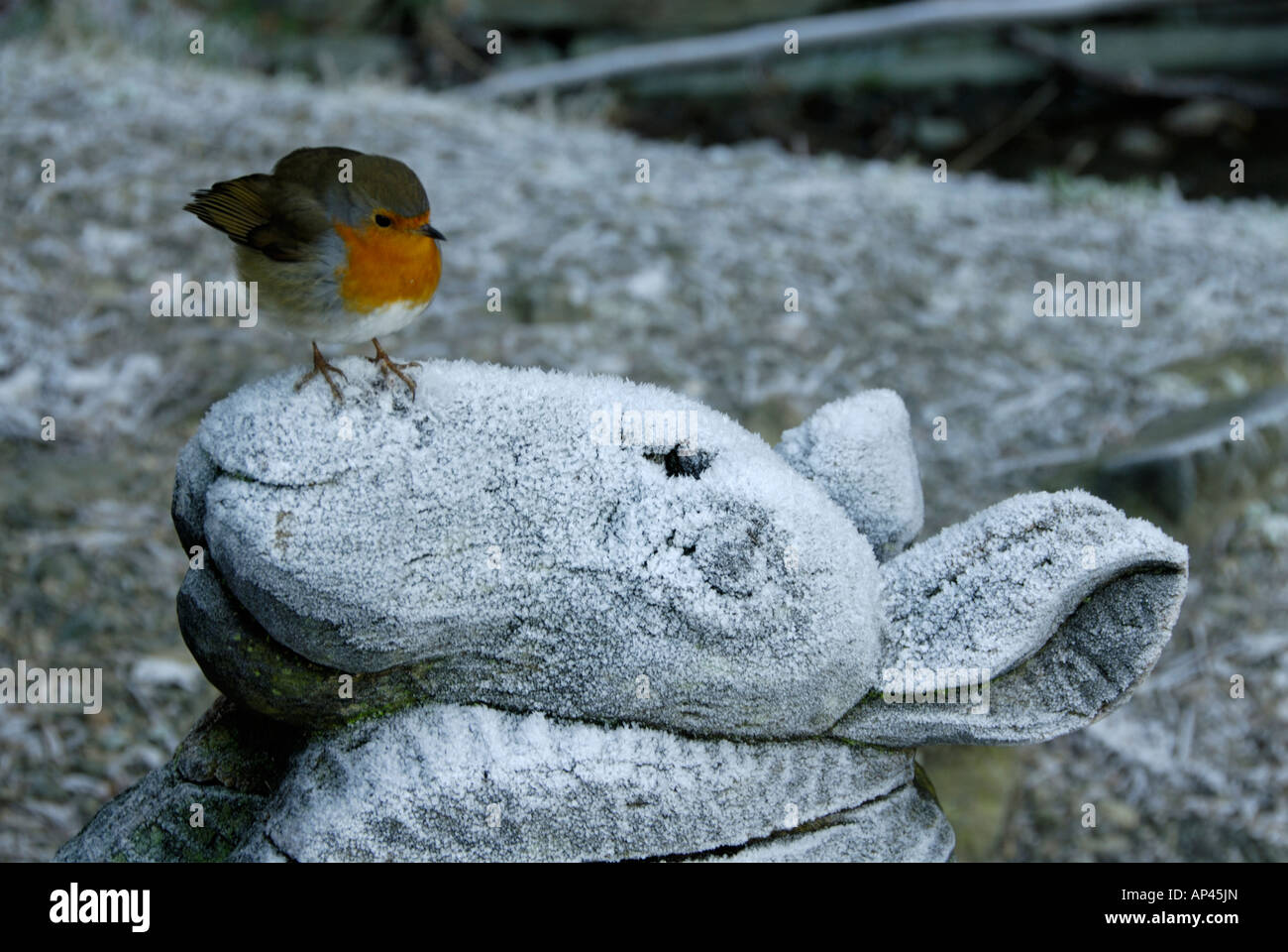 "Sethera", (detail), with perched robin. Outdoor sculpture by Reece ...