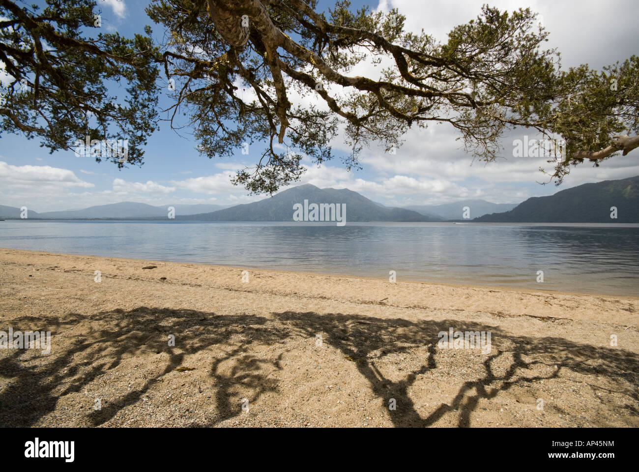 Shade cast by tree hi-res stock photography and images - Alamy