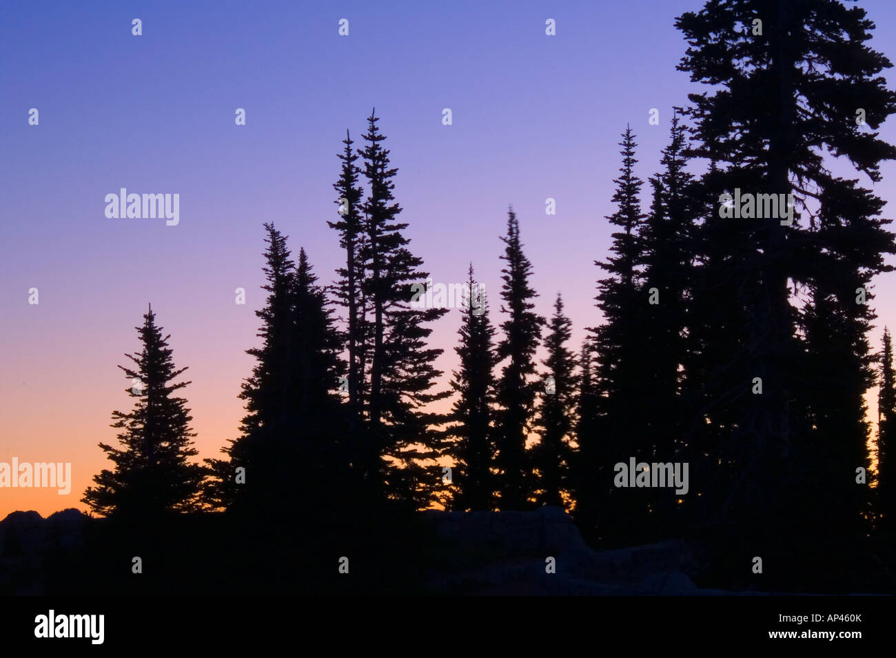 Sunrise point, mount rainier hi-res stock photography and images - Alamy