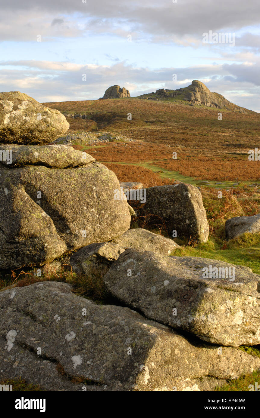 Haytor Rocks in Dartmoor National Park Devon England Stock Photo - Alamy