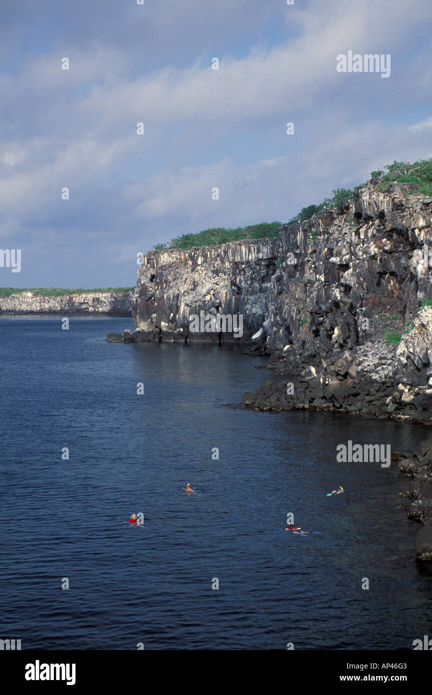South America, Ecuador, Galapagos Islands, Tower Island. Cliff face at ...