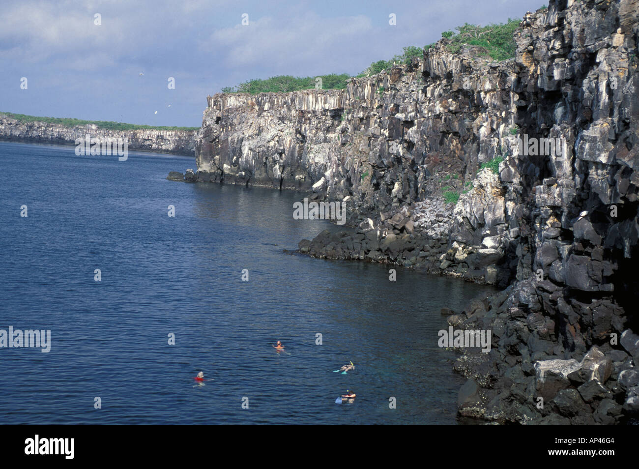 South America, Ecuador, Galapagos Islands, Tower Island. Cliff face at ...
