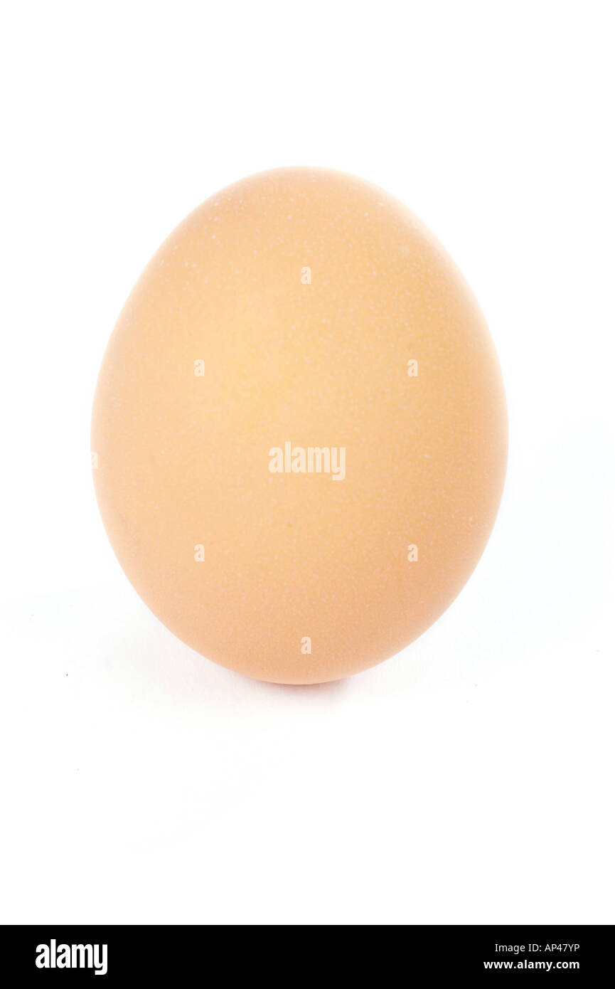 A single egg with shadow on a white background Focus on the bottom ...