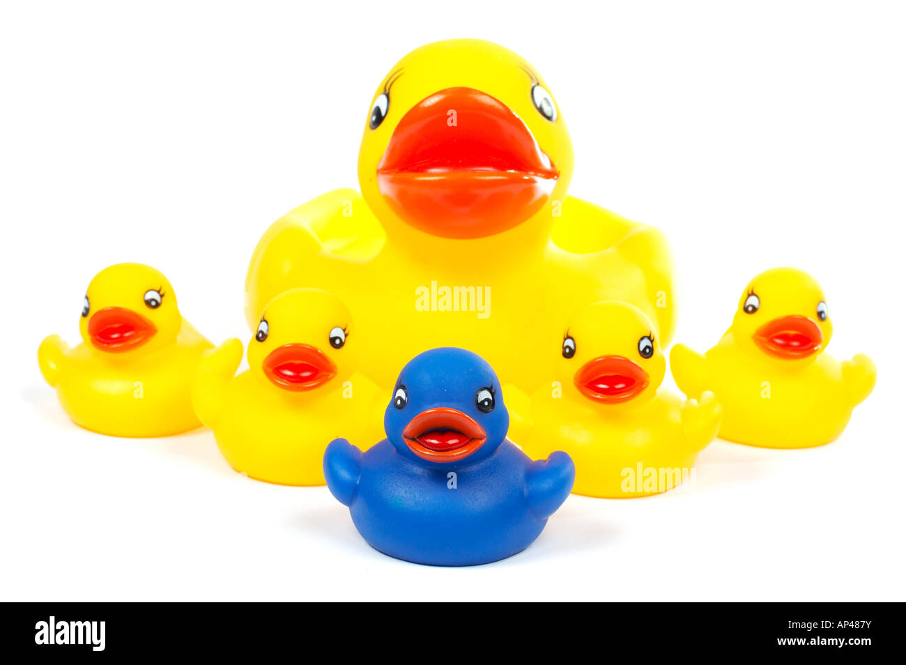 The yellow rubber ducks family and the different with shadow Stock ...