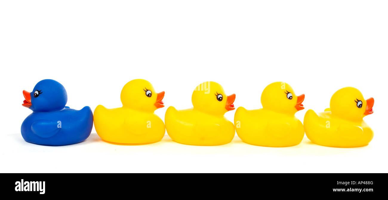 The yellow rubber ducks team and the blue leader with shadow Stock ...