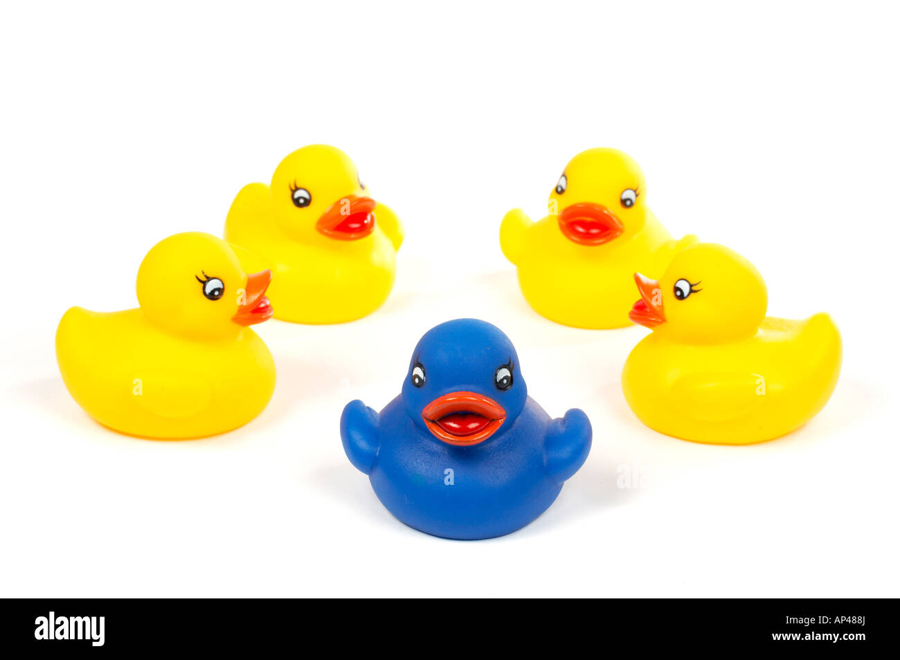 The yellow rubber ducks team and the blue leader with soft shadow Stock ...