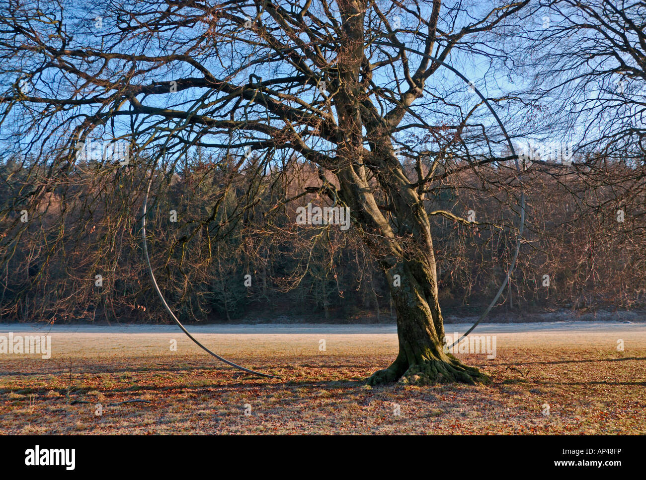 Sculpture by colin rose hi-res stock photography and images - Alamy