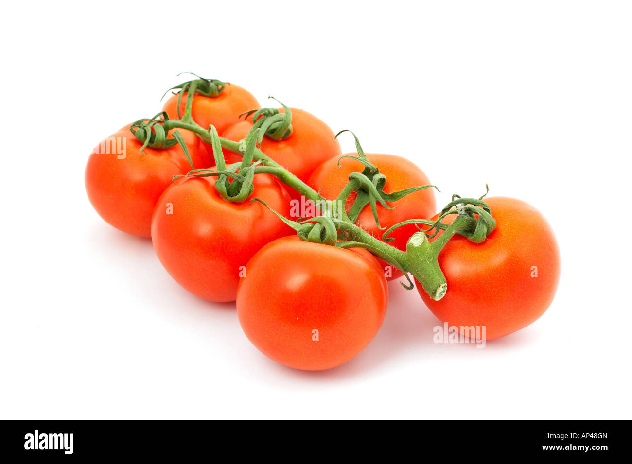 Seven red tomatoes on bunch with shadow Stock Photo - Alamy