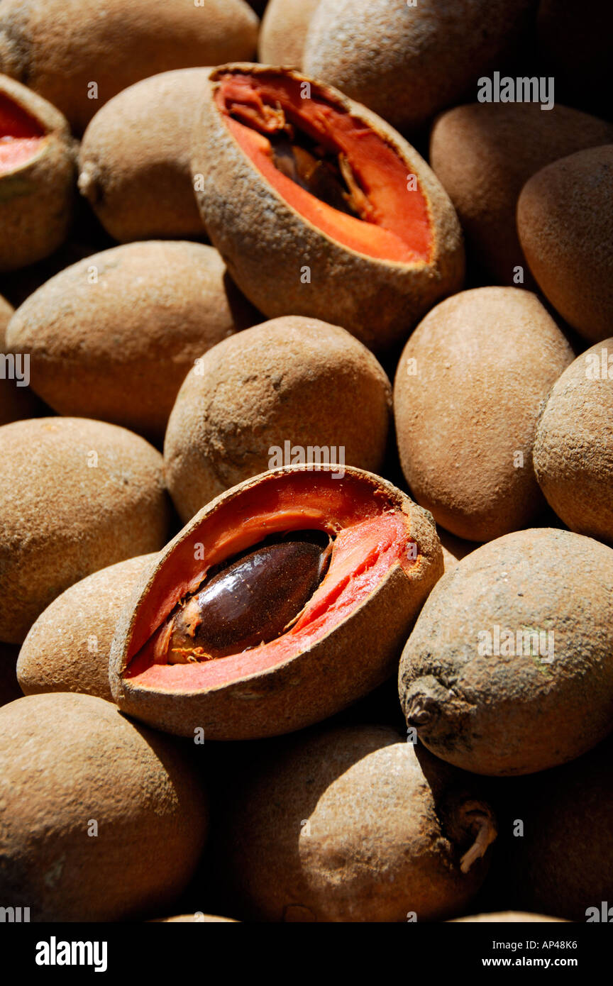 Sapote guatemala hi-res stock photography and images - Alamy