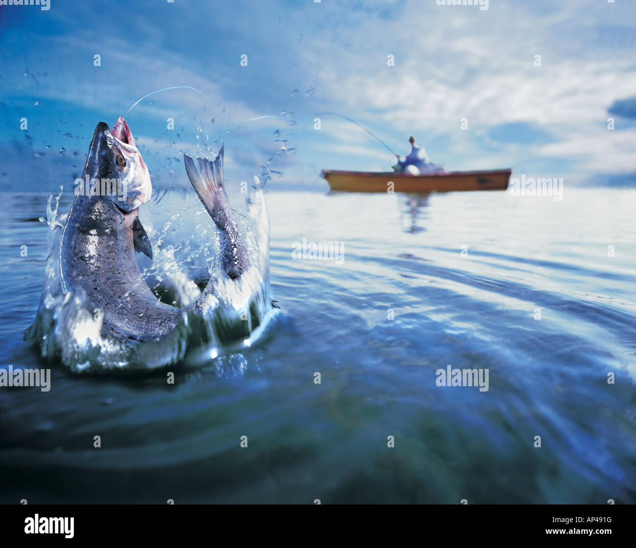 Line caught haddock hi-res stock photography and images - Alamy