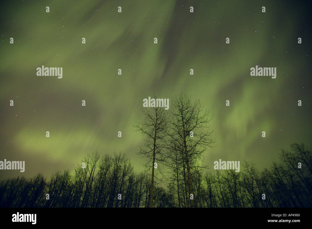 Edmonton canada stars hi-res stock photography and images - Alamy