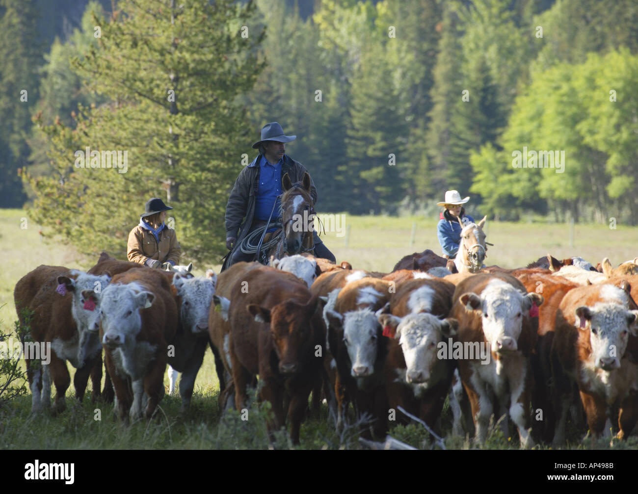 On the ranch Stock Photo - Alamy