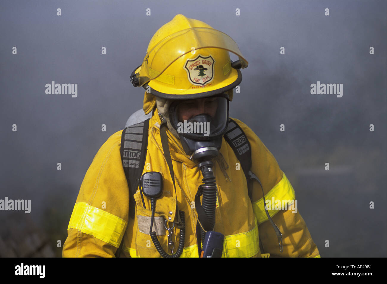 Alberta spruce grove hi-res stock photography and images - Alamy