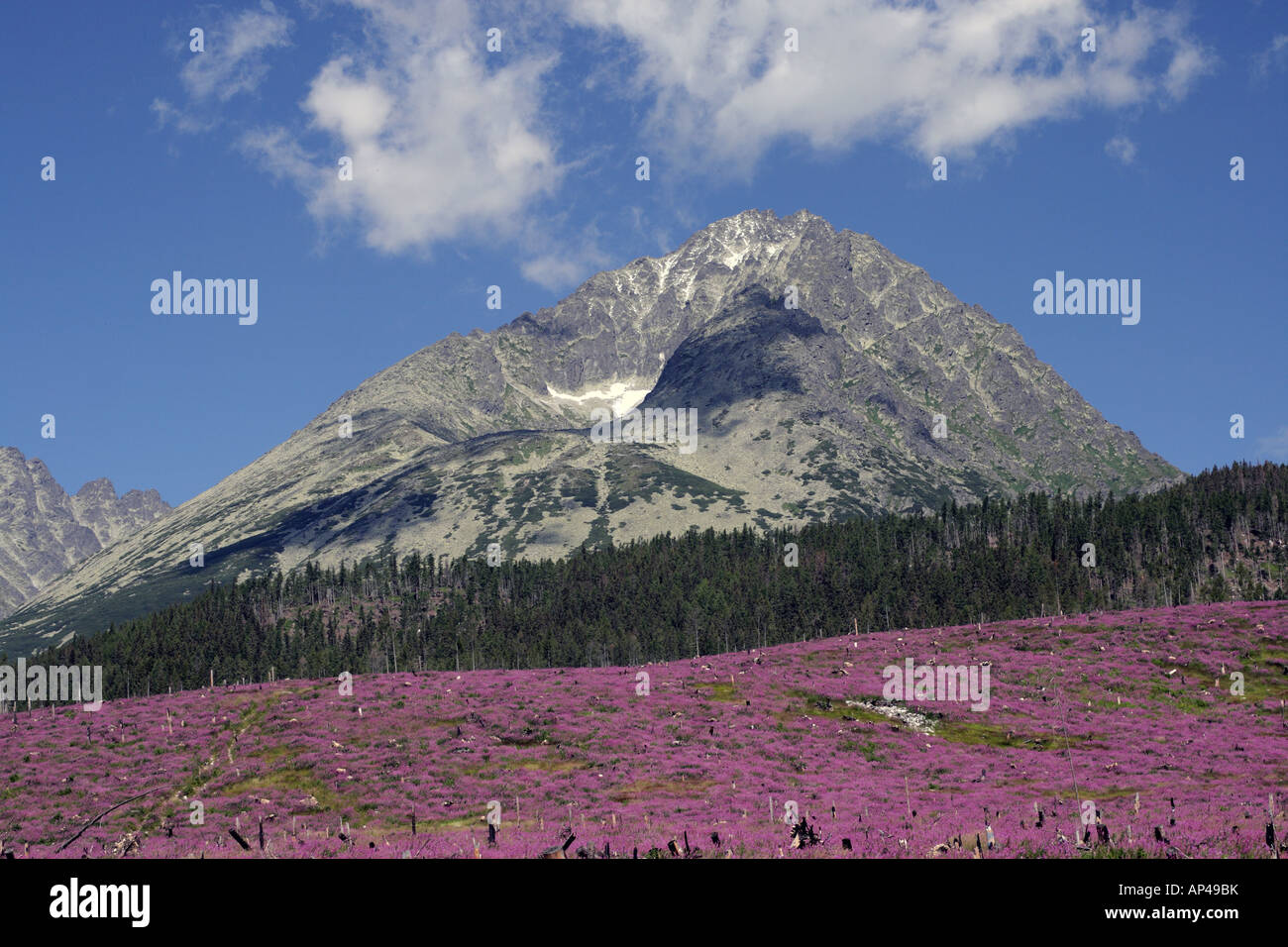 Gerlachovsky stit hi-res stock photography and images - Alamy