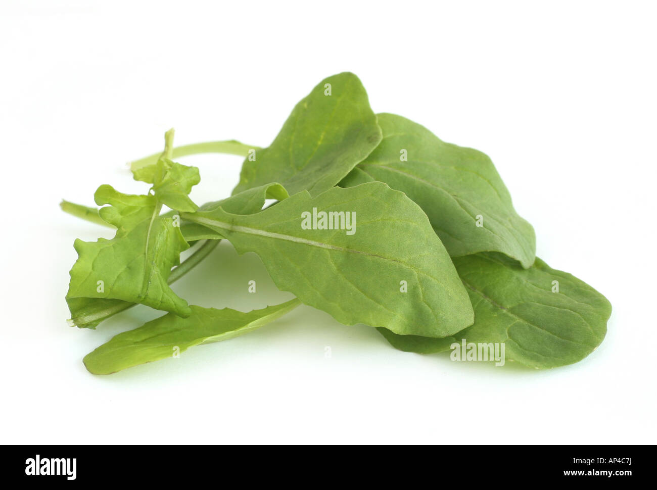 Rocket leaves over white background Stock Photo - Alamy