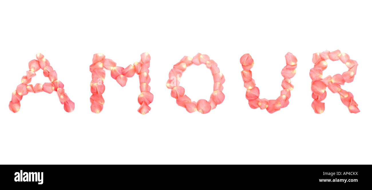 Amour word arranged from pink rose petals over white background Stock ...