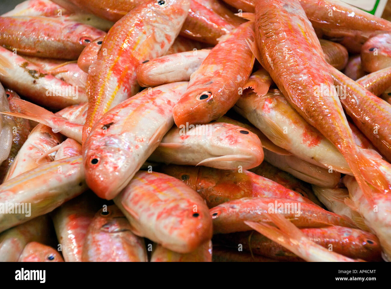Seafood market mallorca hi-res stock photography and images - Alamy