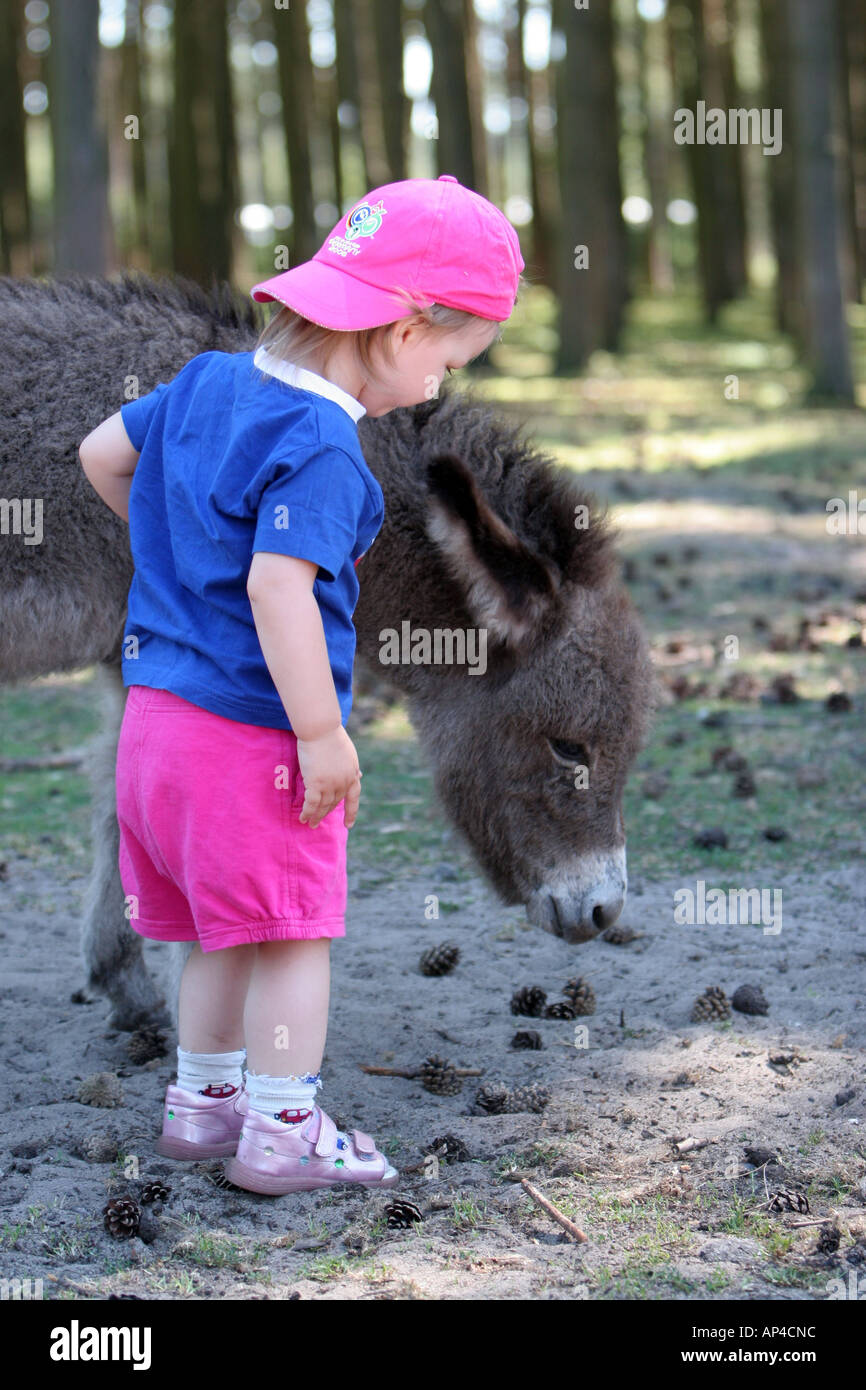 Littl animal hi-res stock photography and images - Alamy